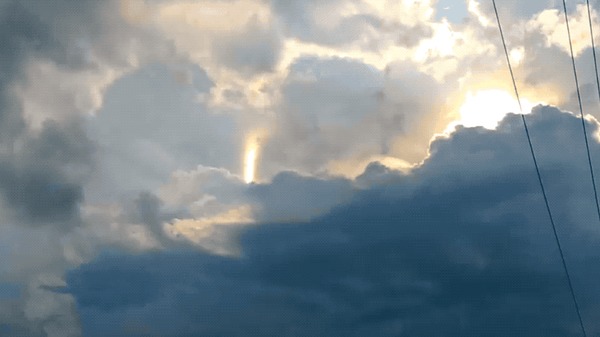 Королевская вспышка (Crown Flash) - 20.08.18 12:14 | Пикабу