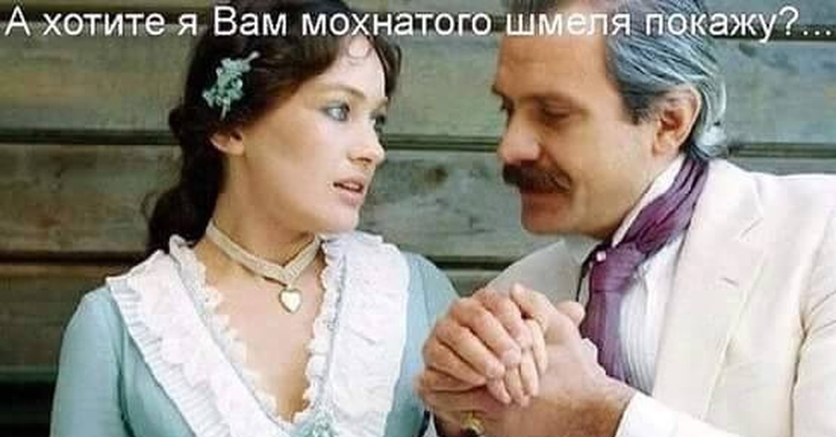 Шмель | Пикабу