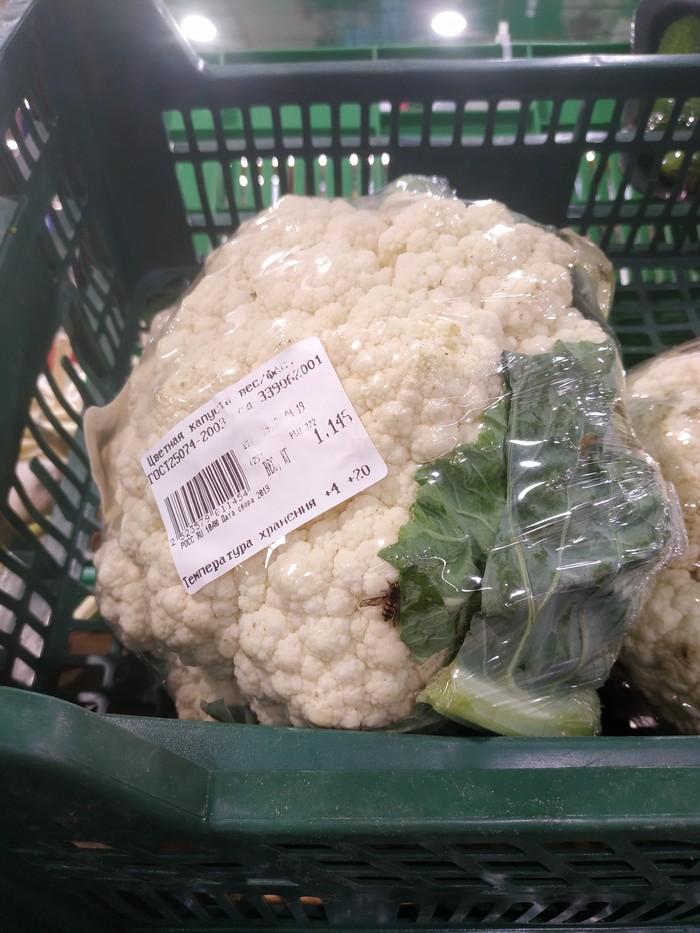 Капуста с мясом | Пикабу