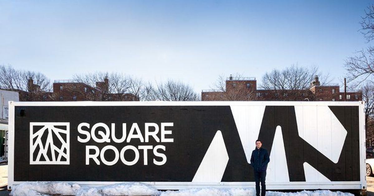 Интервью с работником Square Roots - 10.05.19 22:36 | Пикабу