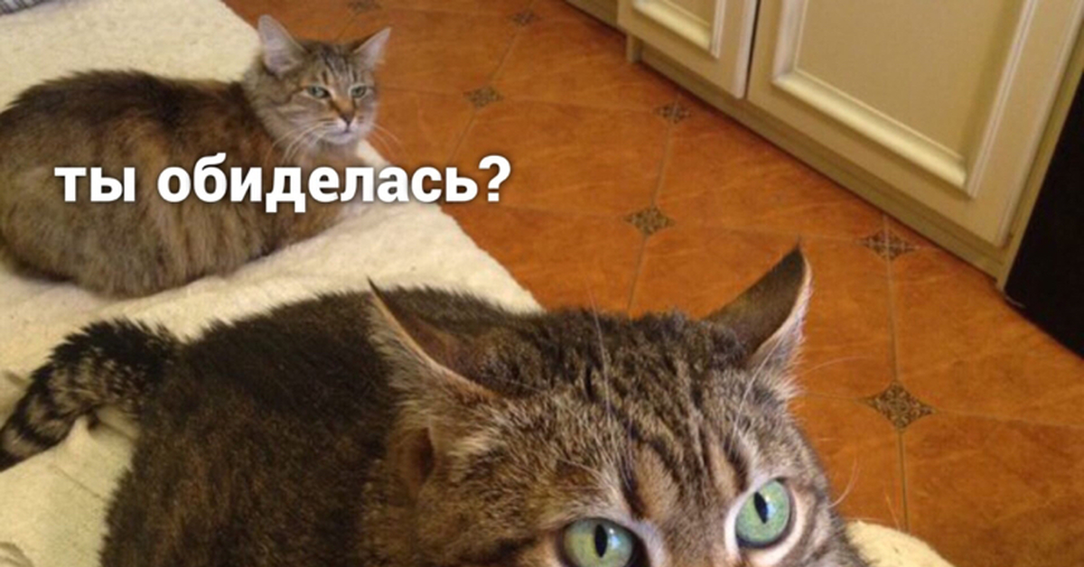 Кукла вуду | Пикабу