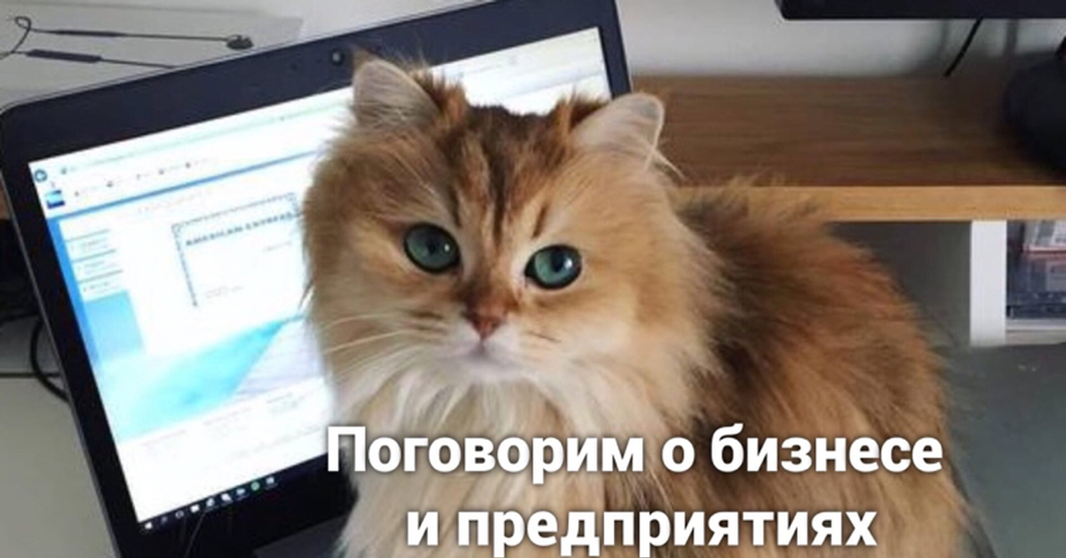 О бизнесе Пикабу