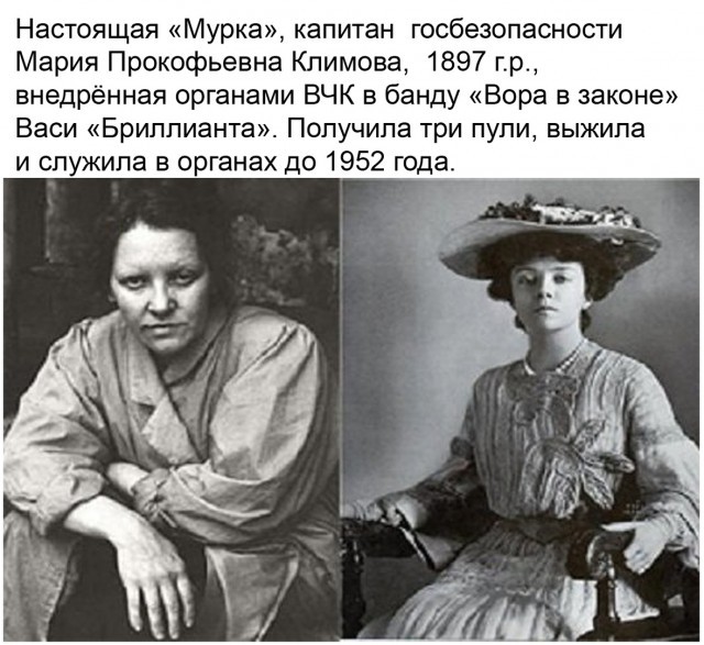 Мурка | Пикабу