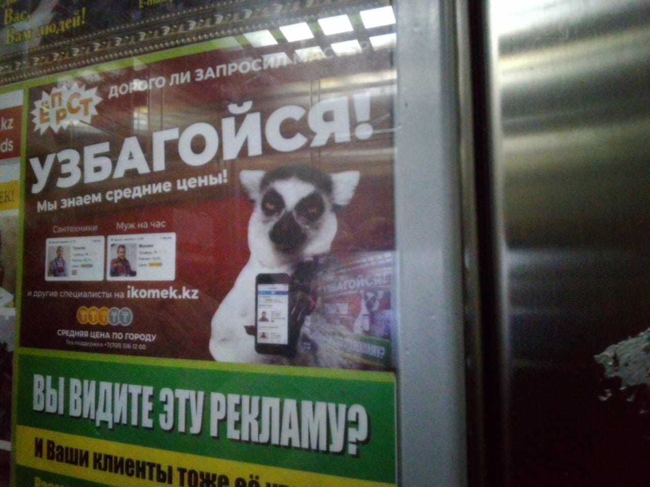 Плакат в Алматы | Пикабу