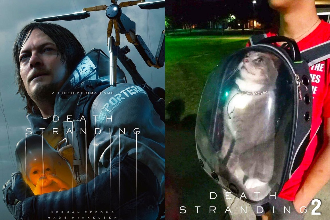 Death Stranding: Cat Edition | Пикабу
