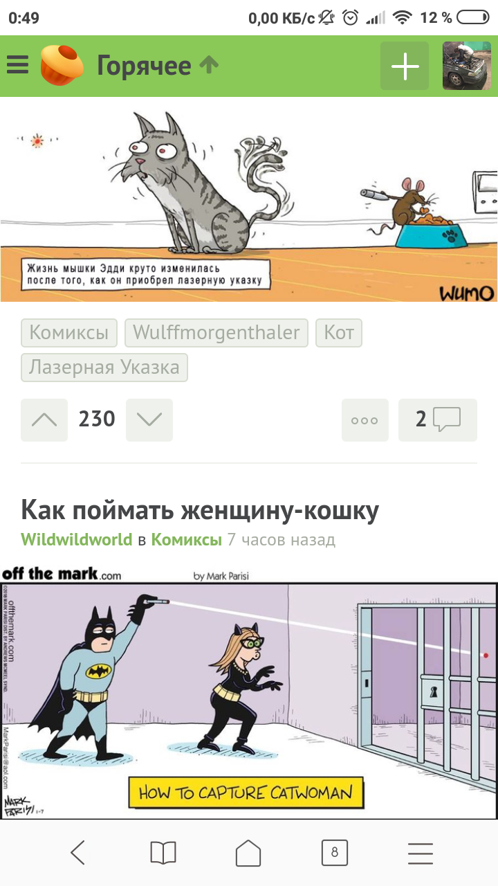 Лазер и кошки | Пикабу