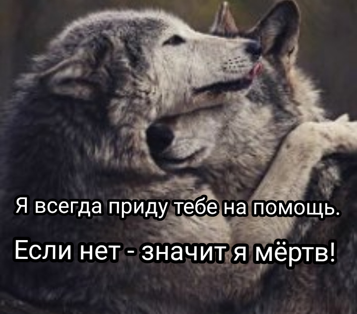 Арбузик | Пикабу