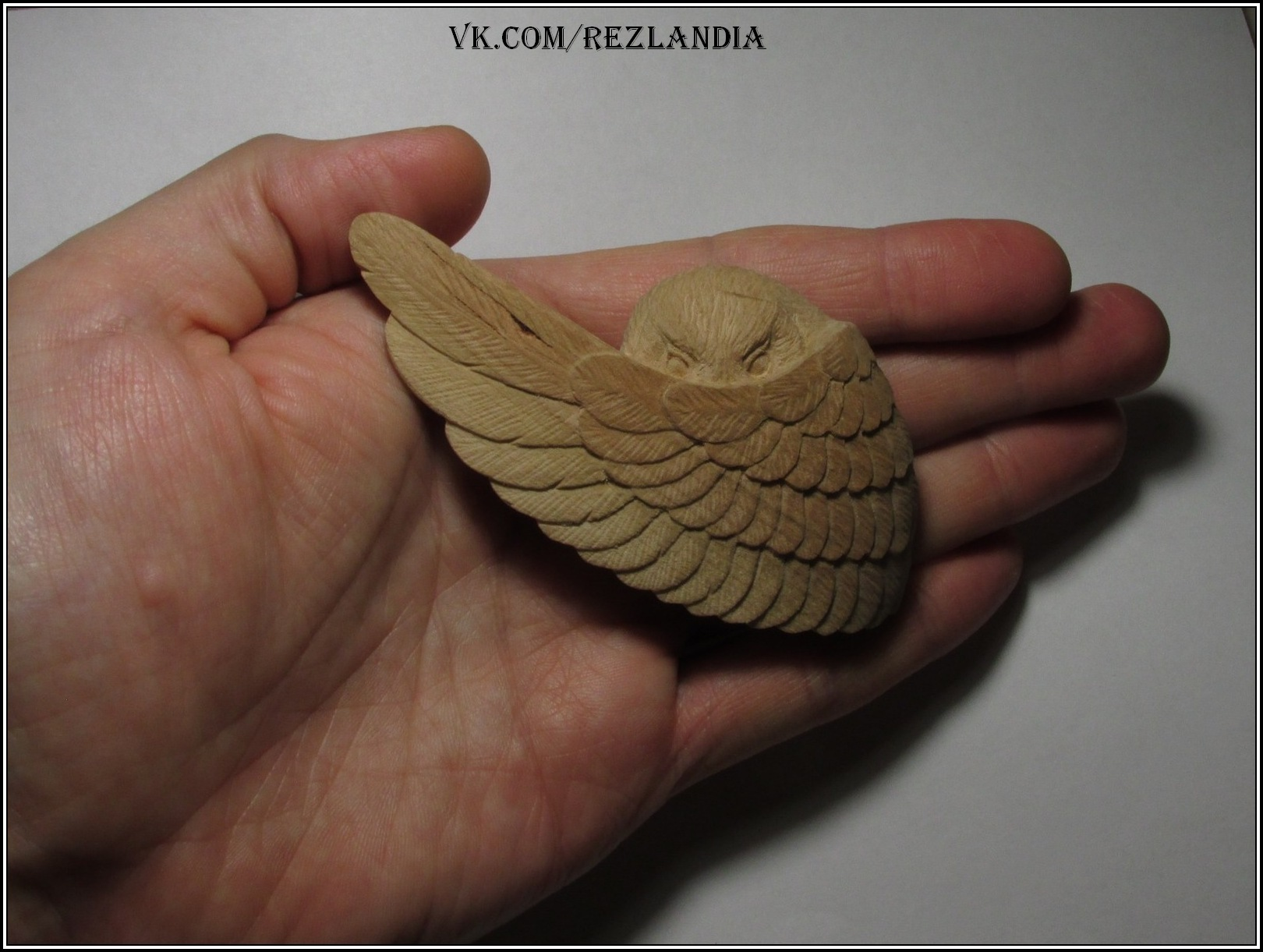 Тест | Пикабу