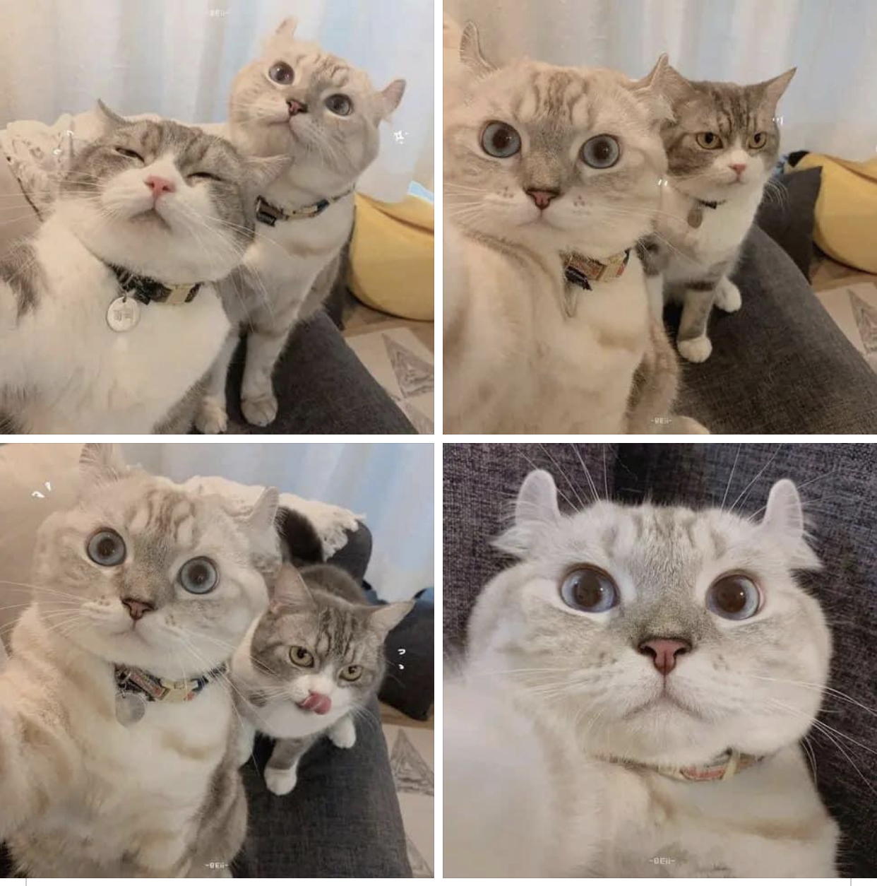 GitHub - kkkatwr/Task3