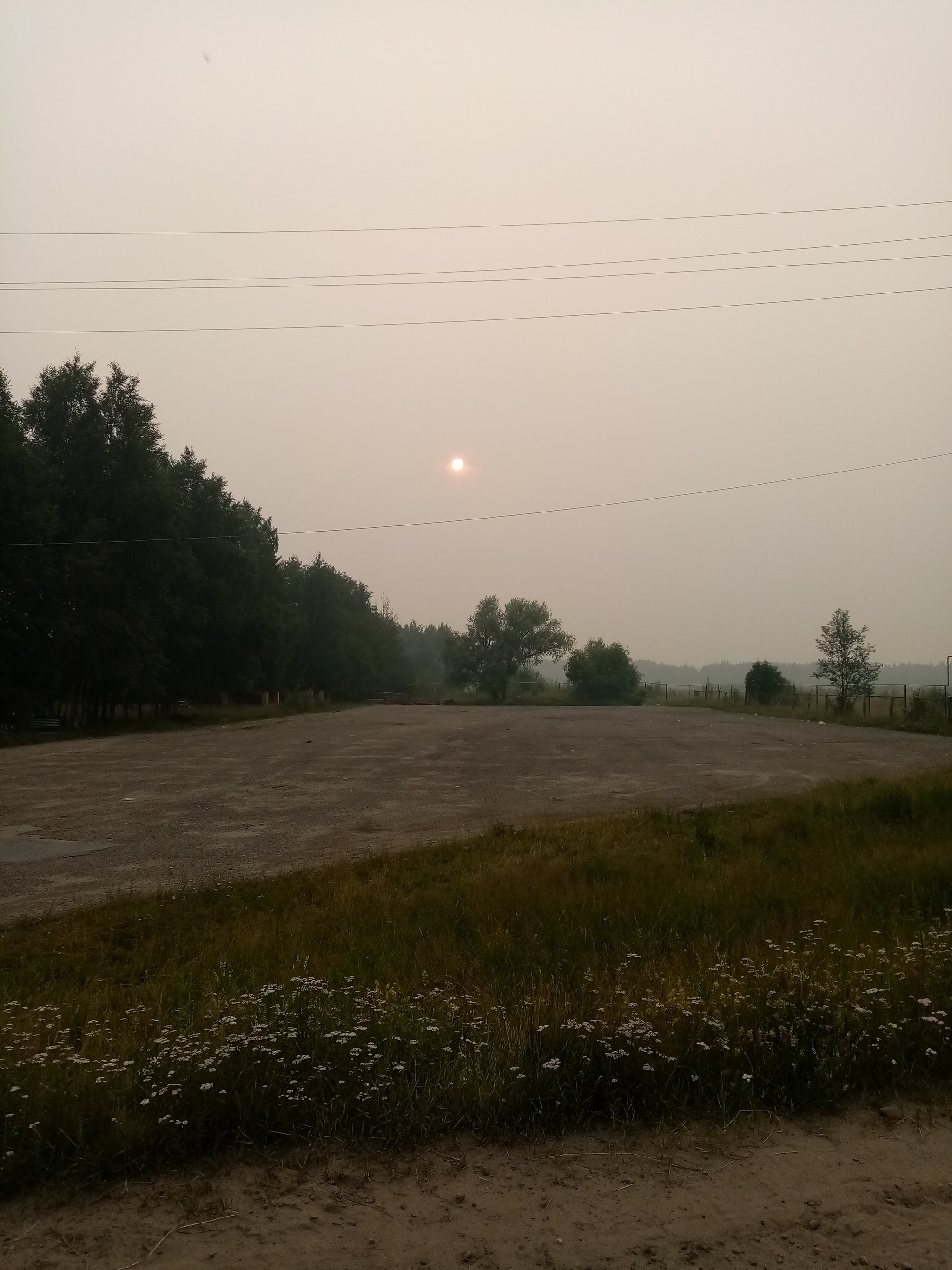 Природа Пикабу