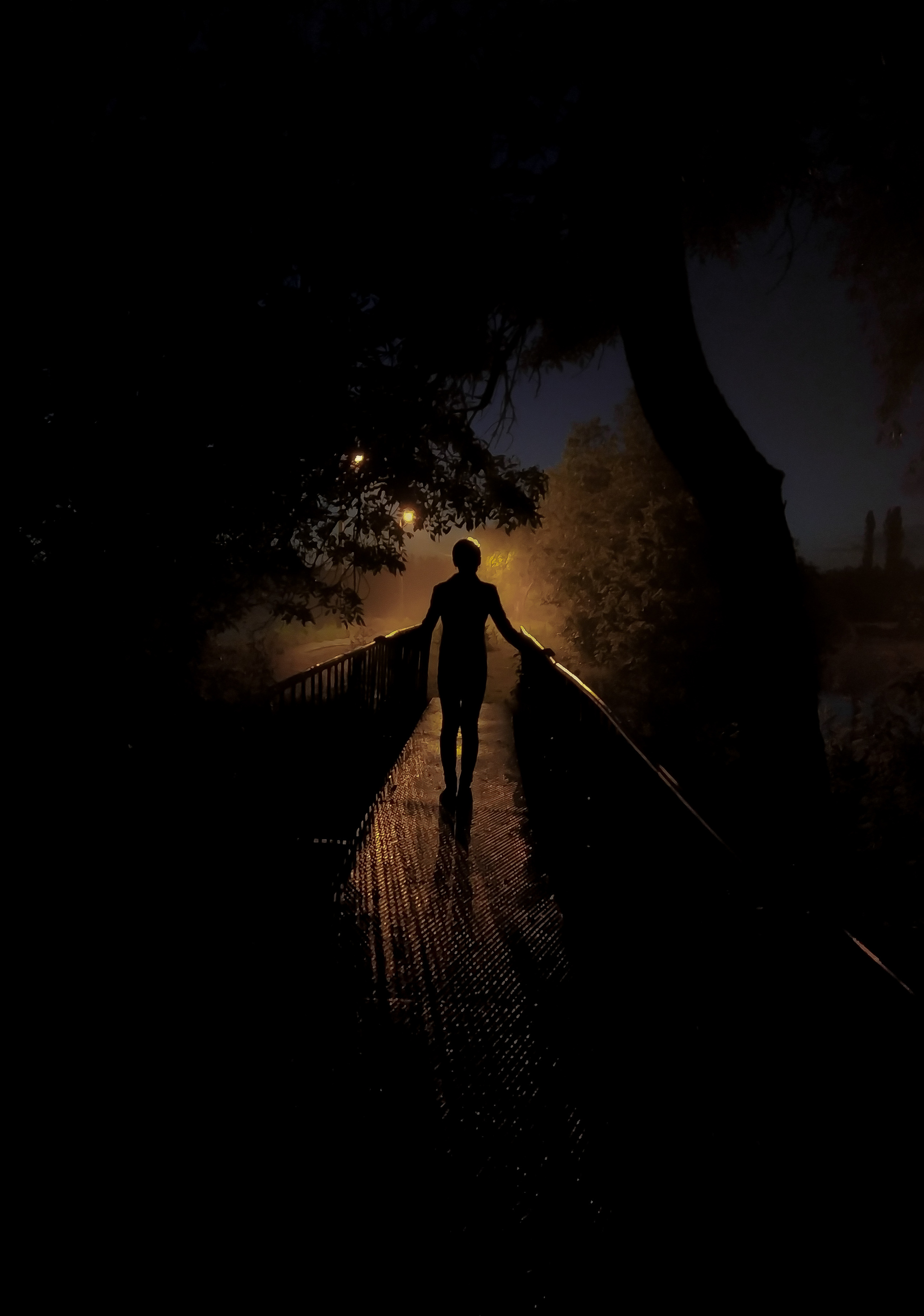 В тумане | Пикабу