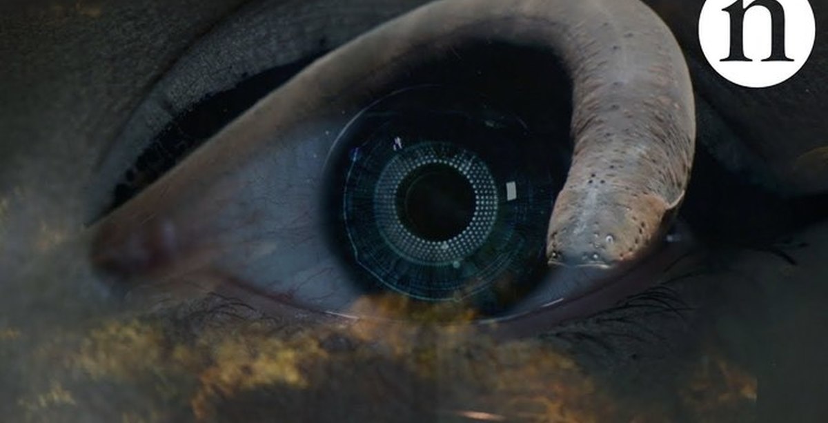 Технология будущего: искусственный электрический орган | Пикабу