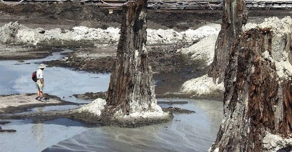 Факт о потопе в фотографиях и комментариях | Пикабу