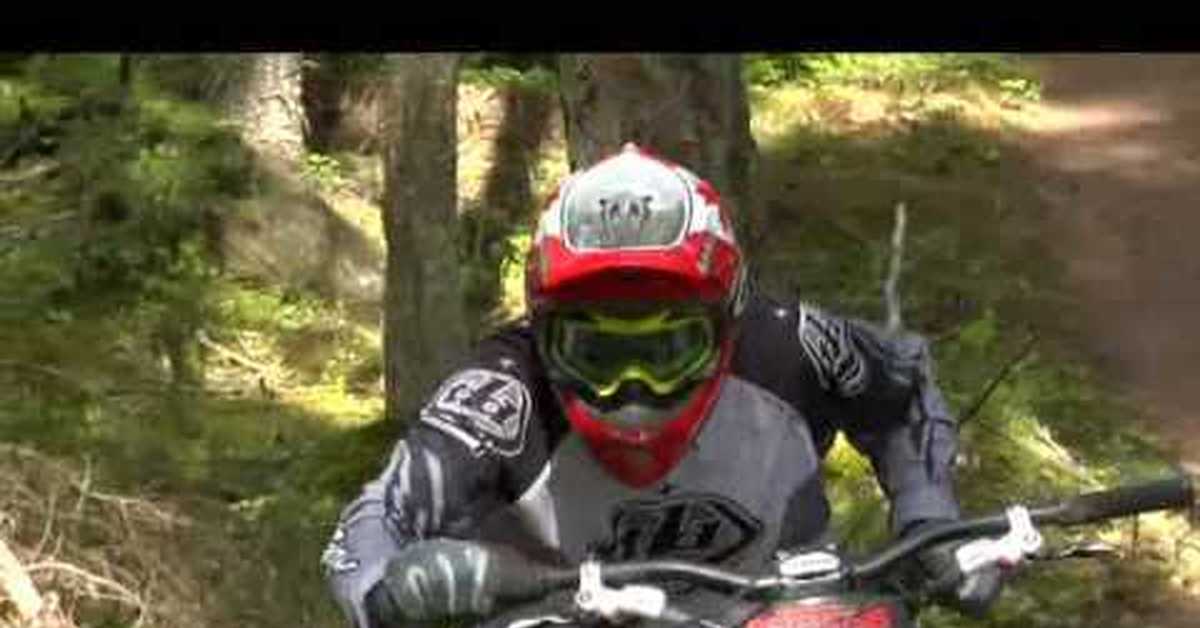 Red Bull-mountain 7 Psychosis(downhill) | Пикабу