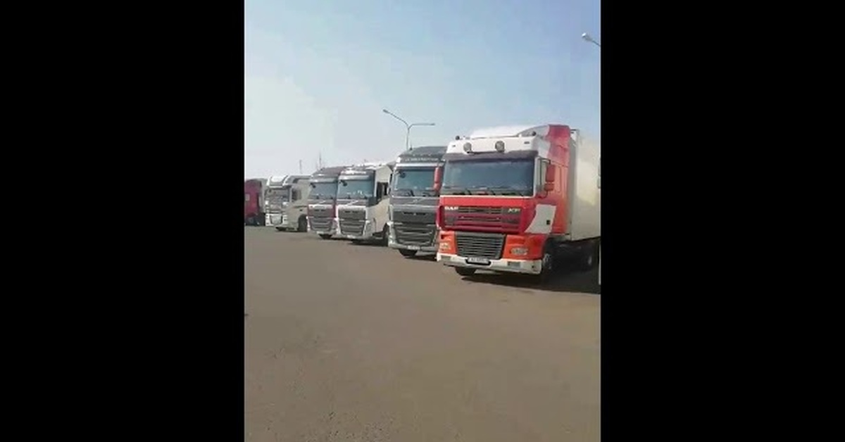 Водители в заложниках у Россельхознадзора. | Пикабу